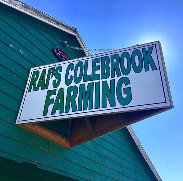 100 rai s colebrook farming